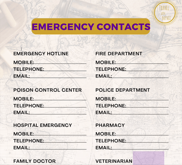 Creating An Effective Travel Emergency Action Plan | Travel With Dayvee